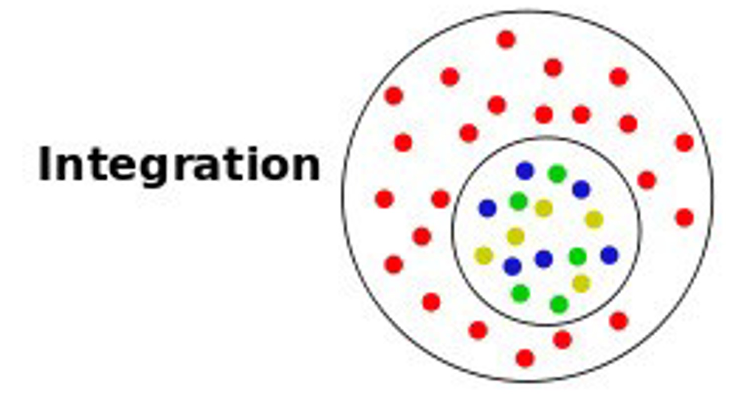 What Does Integration Mean to You?