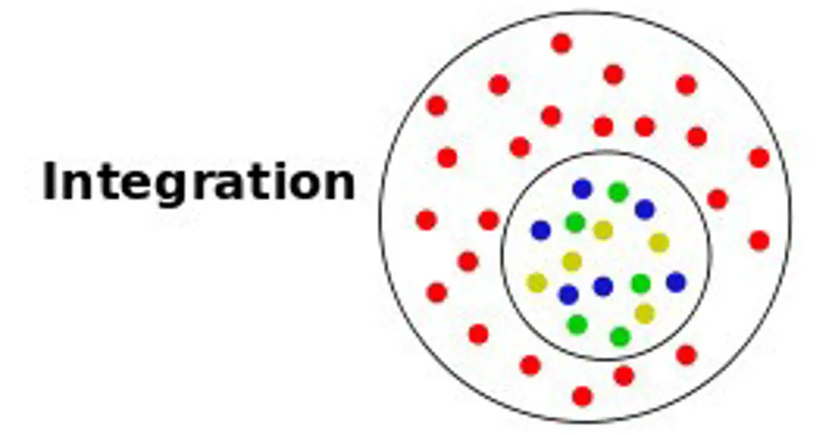 What Does Integration Mean to You?
