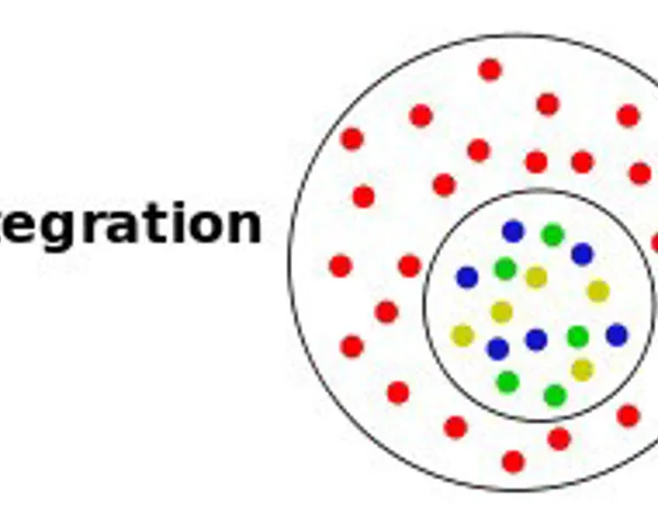 What Does Integration Mean to You?